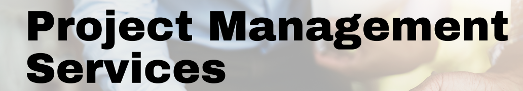 Project Controls Services – JLM Strategic